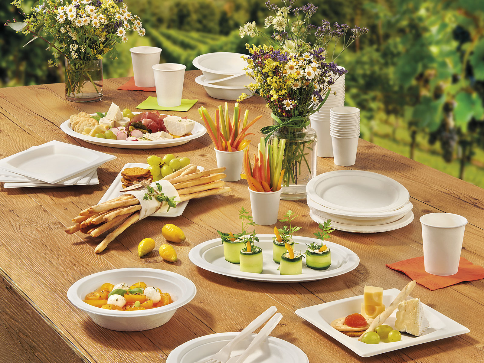 POLPA DI CELLULOSA - Dopla